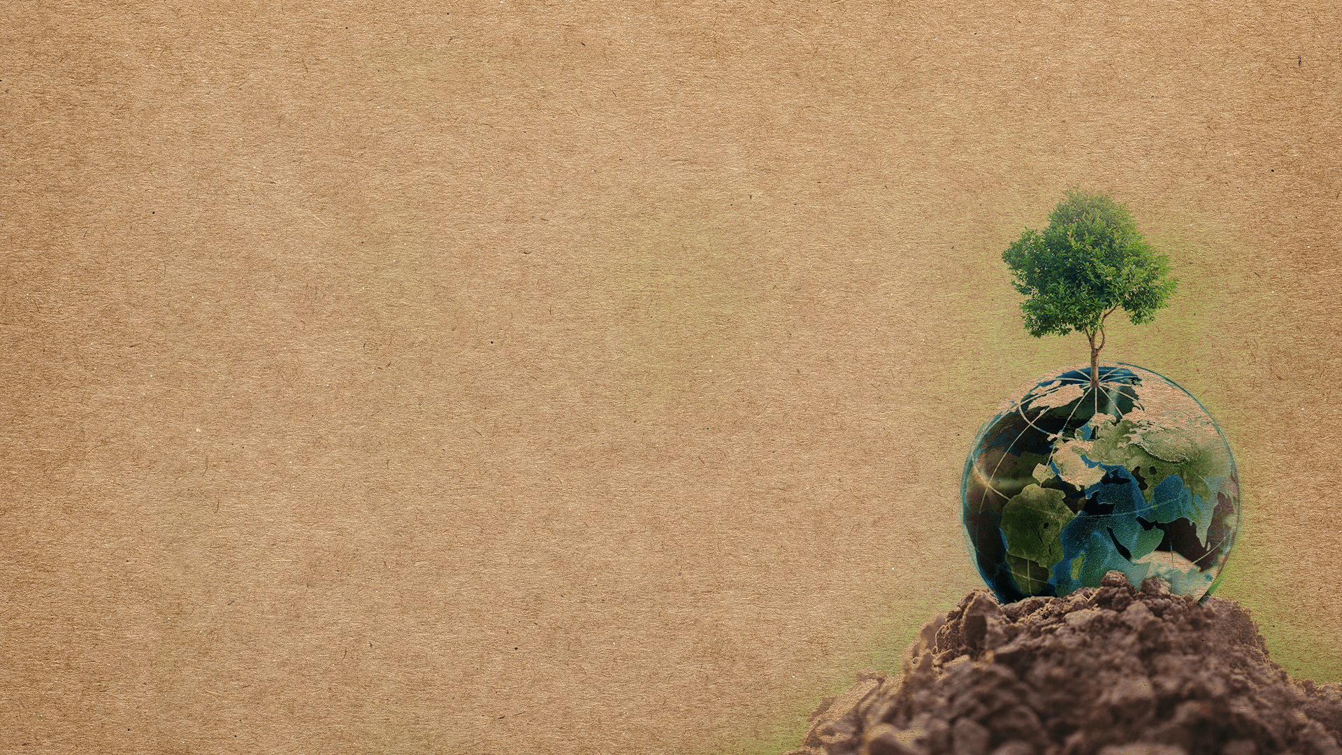 About us – EcoLife